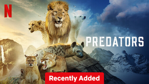 Watch The Ivory Game | Netflix Official Site