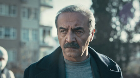 Watch Kin | Netflix Official Site