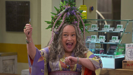 Watch Disjointed | Netflix Official Site