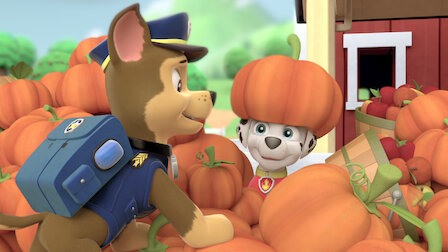 Watch PAW Patrol | Netflix