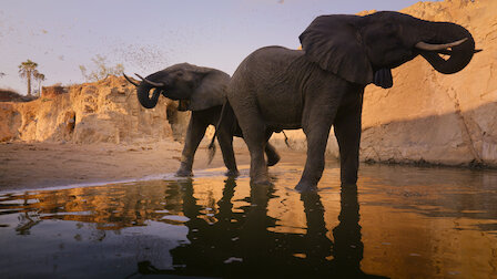 Watch Our Great National Parks | Netflix Official Site