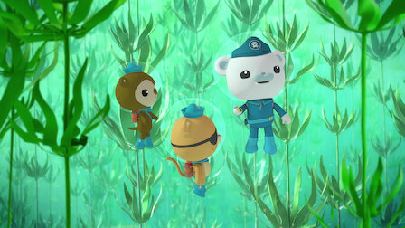 Watch Octonauts | Netflix