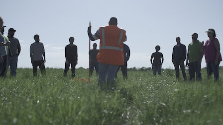 Watch Unsolved Mysteries | Netflix Official Site