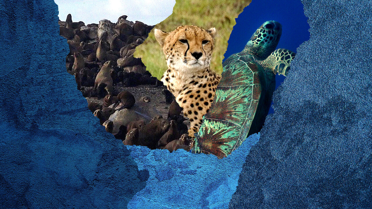 Watch Evolution | Netflix