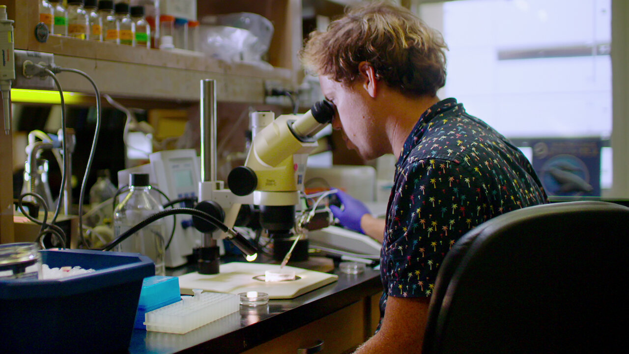 Watch Human Nature | Netflix