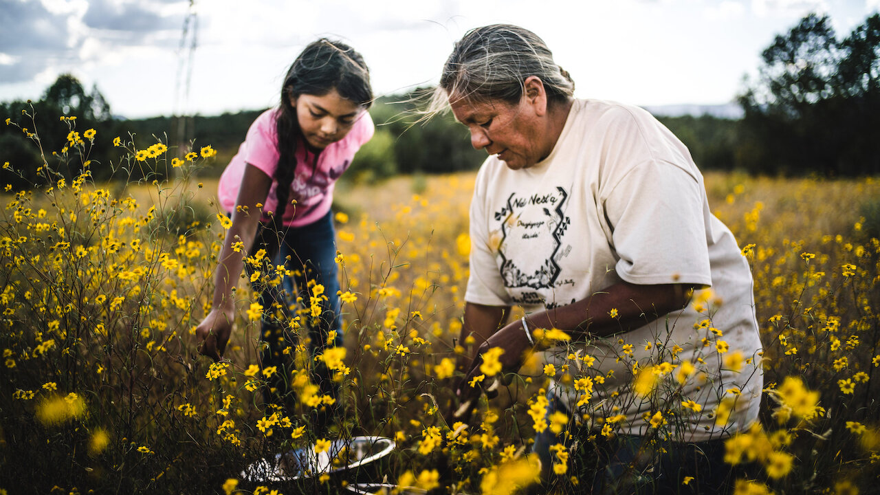 Watch Gather | Netflix