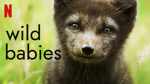 TV Shows | Netflix Official Site